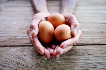What Is Food Share And How Can You Get Involved?