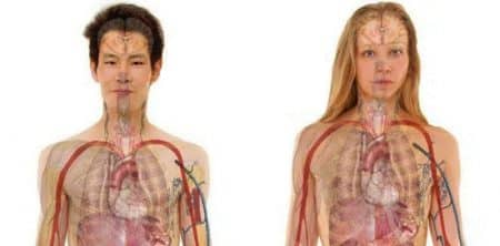 What Is Teflon And Why You Should Avoid It.