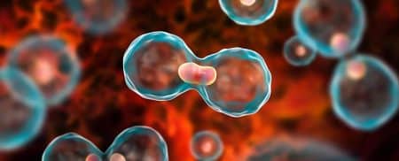 What Is BHT (BUTYLATED HYDROXYTOLUENE) And Why You Should Avoid It.