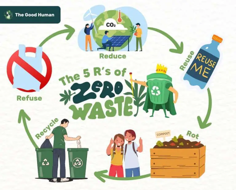 What Are The 5 R's Of Zero-Waste Living?