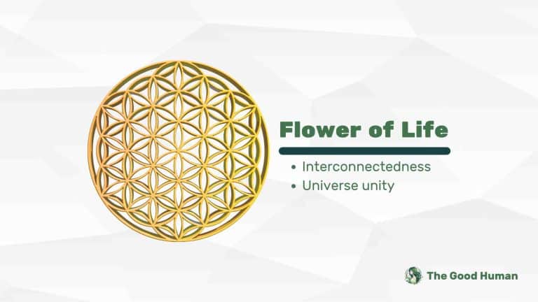 The Most Prolific Spiritual Symbols: How Do You Interpret Them?