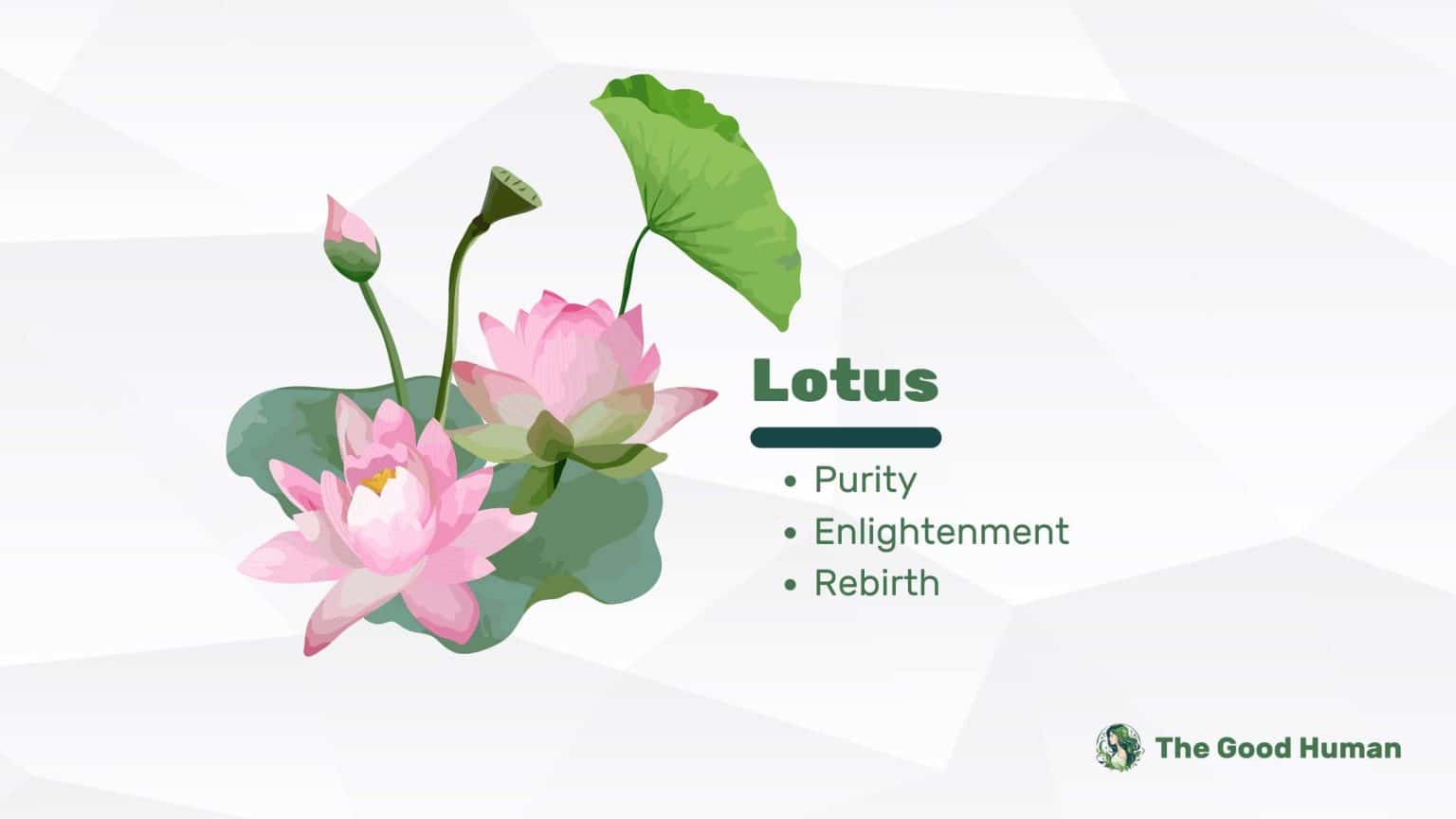 The Most Prolific Spiritual Symbols: How Do You Interpret Them?