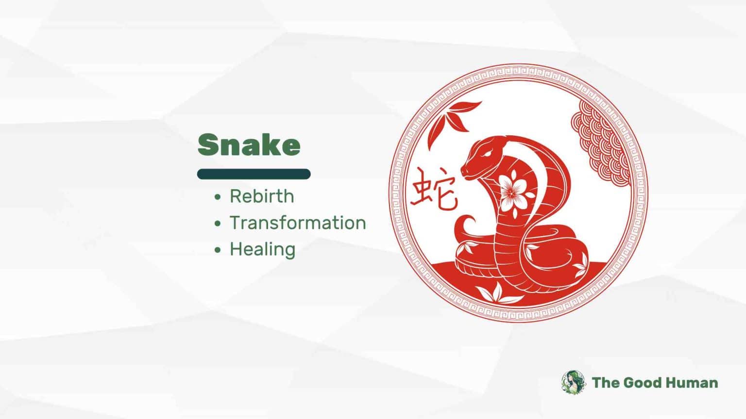 The Most Prolific Spiritual Symbols: How Do You Interpret Them?