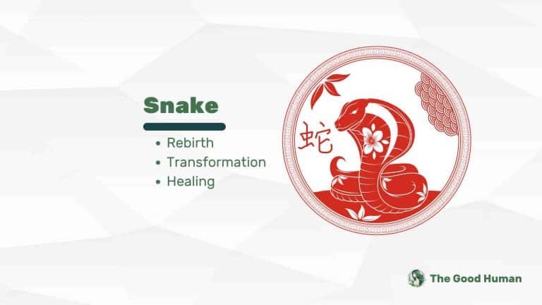 The Most Prolific Spiritual Symbols: How Do You Interpret Them?
