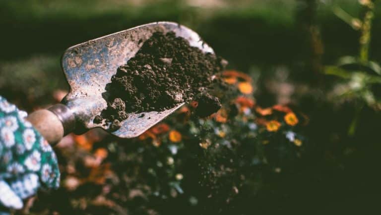 Why is Baking Soda Bad For Health? Know The Dangers